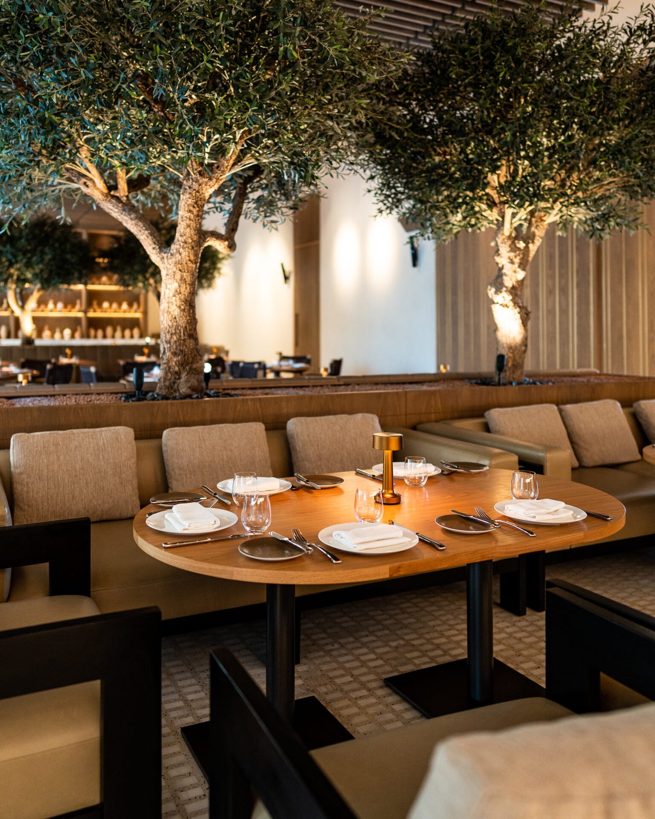 Représentant agréé NEOZ Lighting - Pioneer Horeca – NEOZ